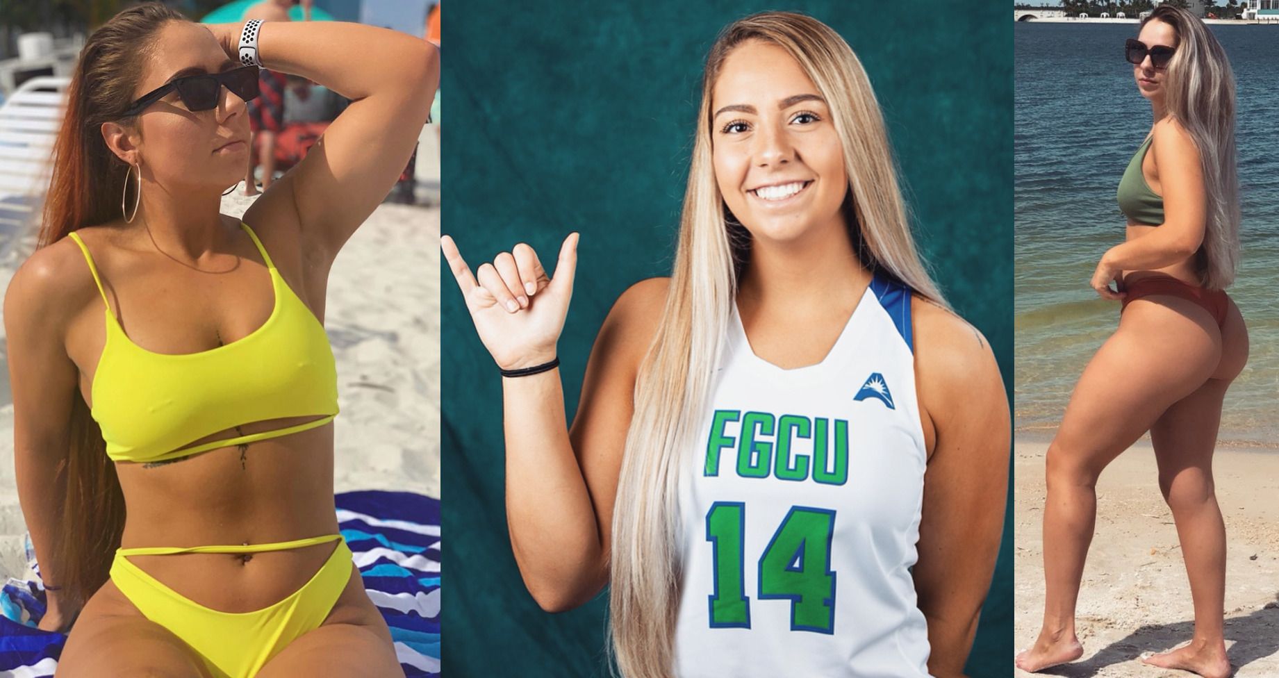 Florida Gulf Coast | Scrolller