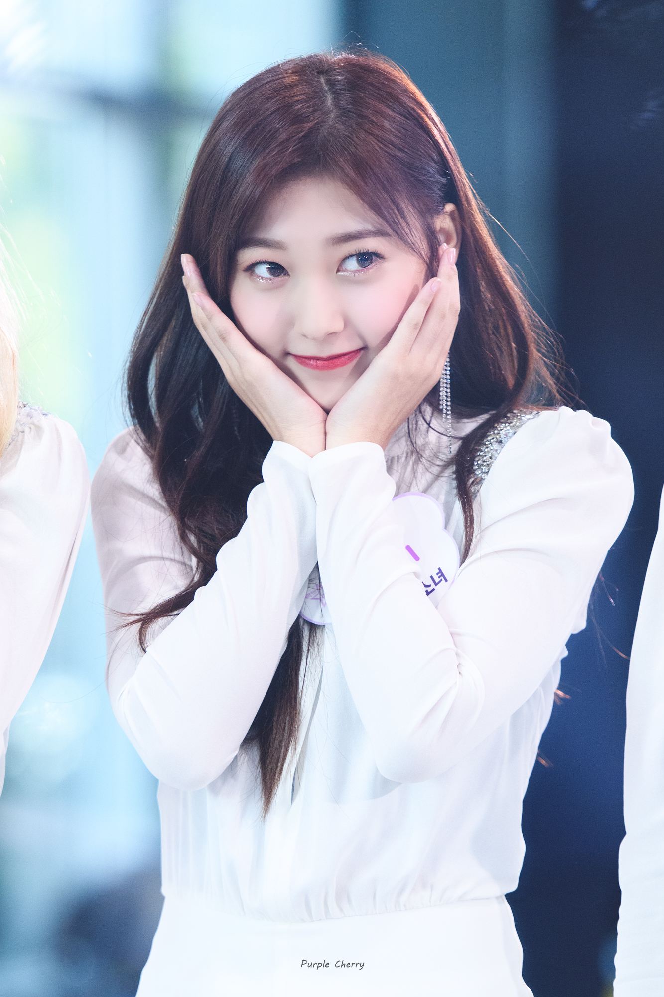 Flower Choerry | Scrolller
