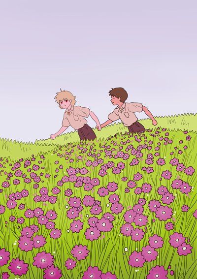 Flower Fields | Scrolller