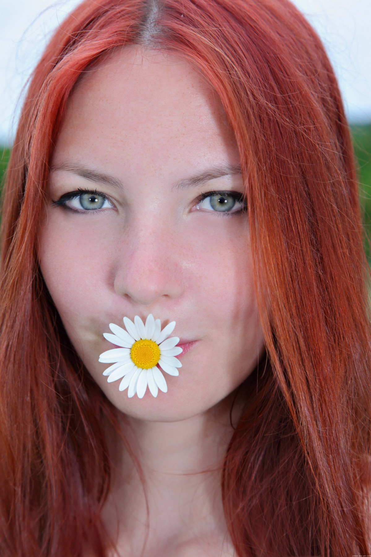 Flower Power | Scrolller