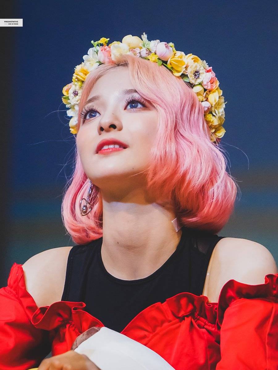 Flower princess Nagyung | Scrolller