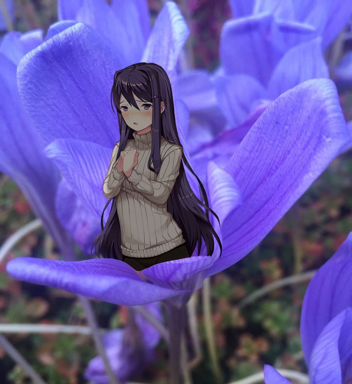 flower Yuri | Scrolller