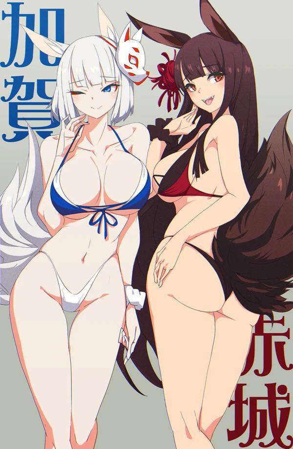 Fluff sisters in their swimsuits (Kaga, Akagi) | Scrolller