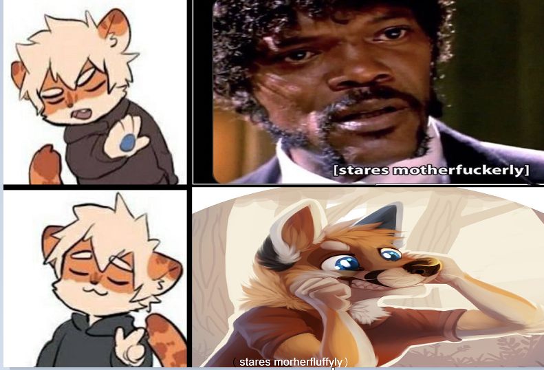 fluffy_irl | Scrolller