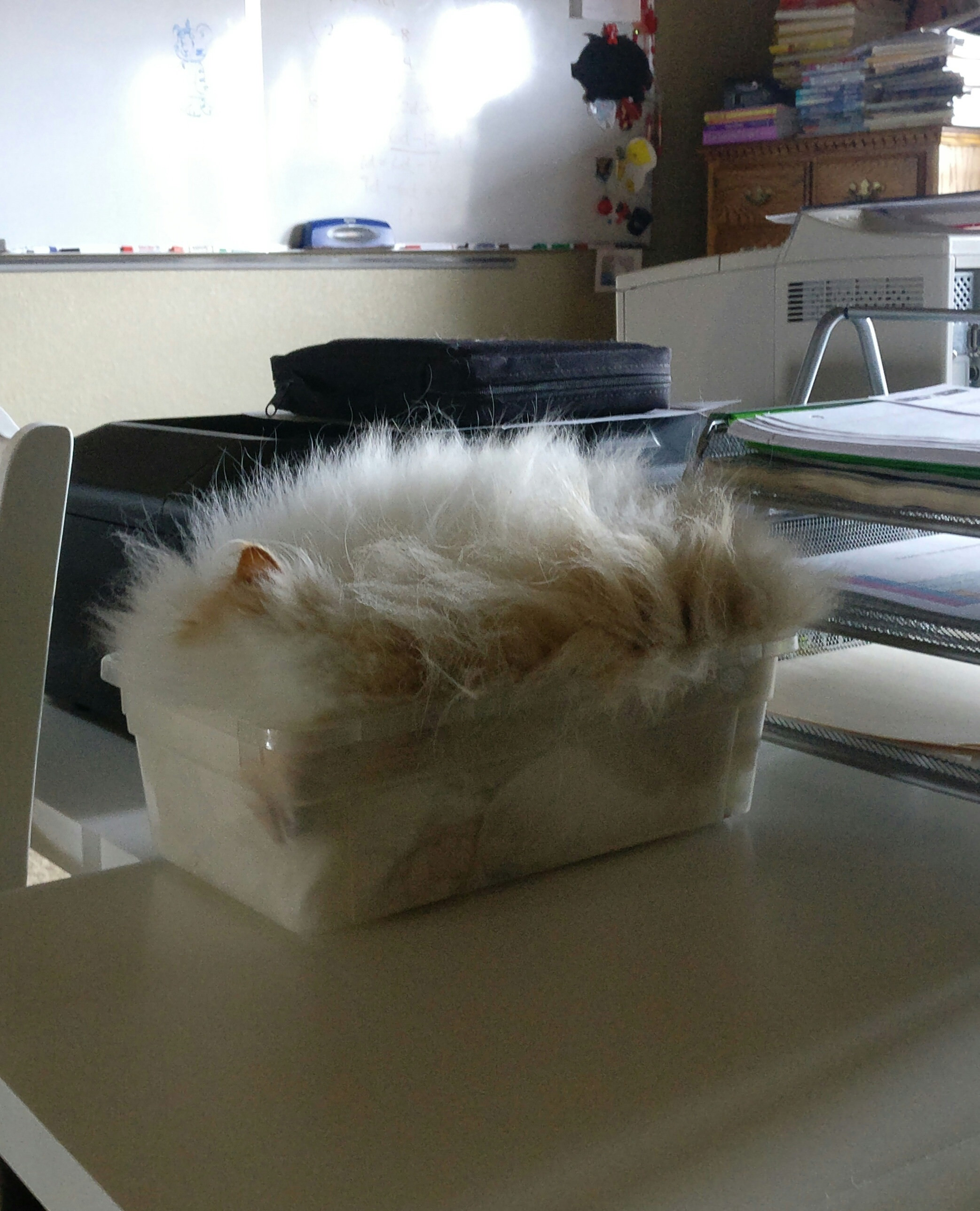 Fluffy loaf | Scrolller