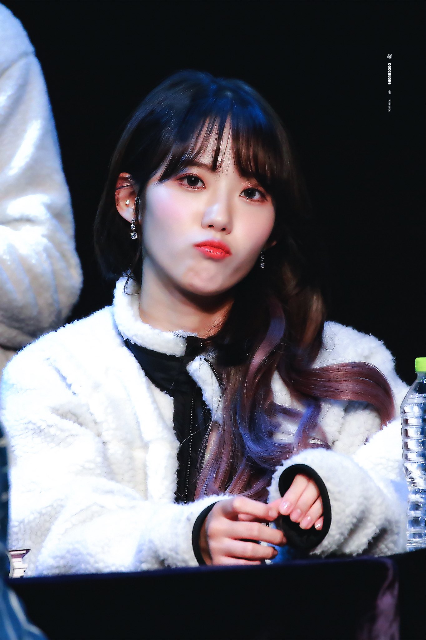 Fluffy pouty Luda | Scrolller