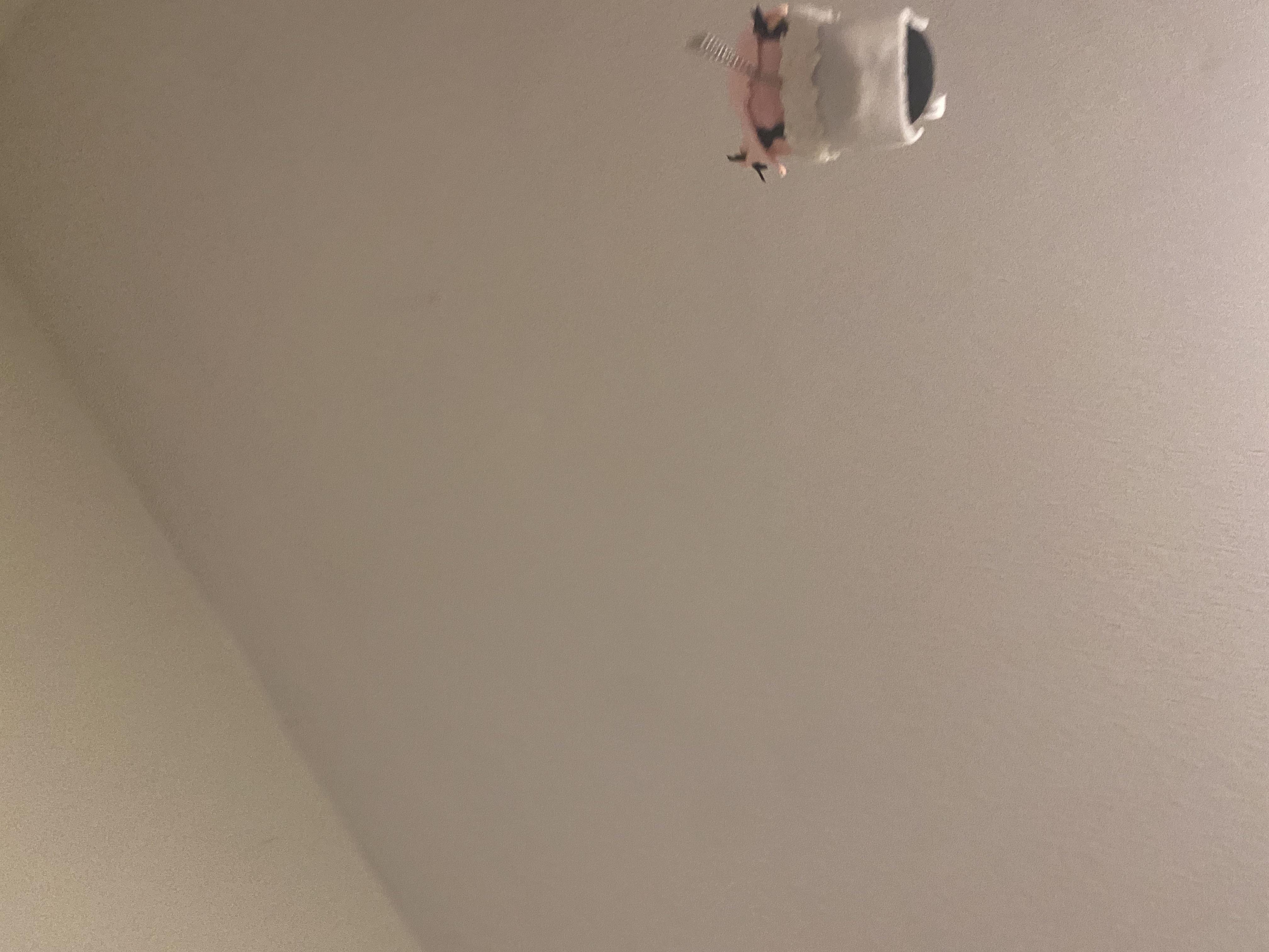 Flying tho | Scrolller