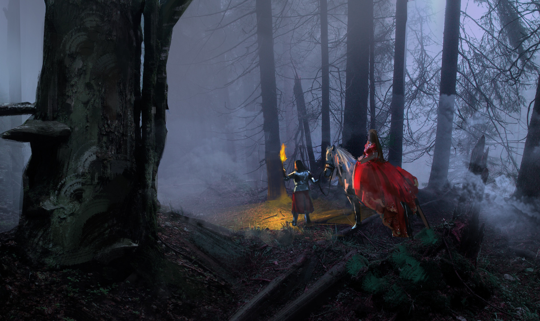 Foggy Forest by Zhen Liu | Scrolller