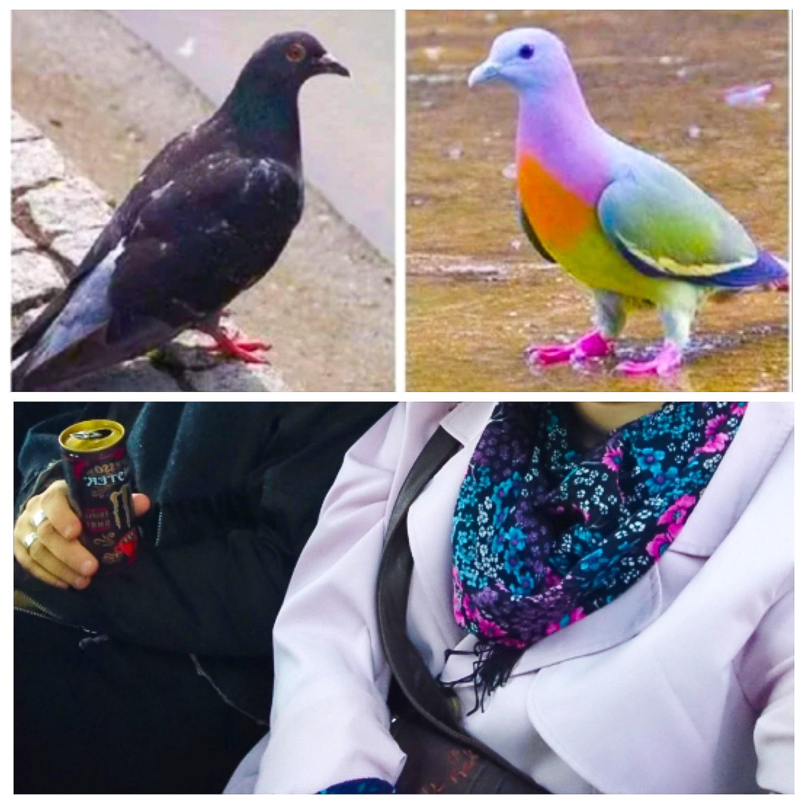 For us ENFJ's with INTP partners. Picture below for human scale. | Scrolller