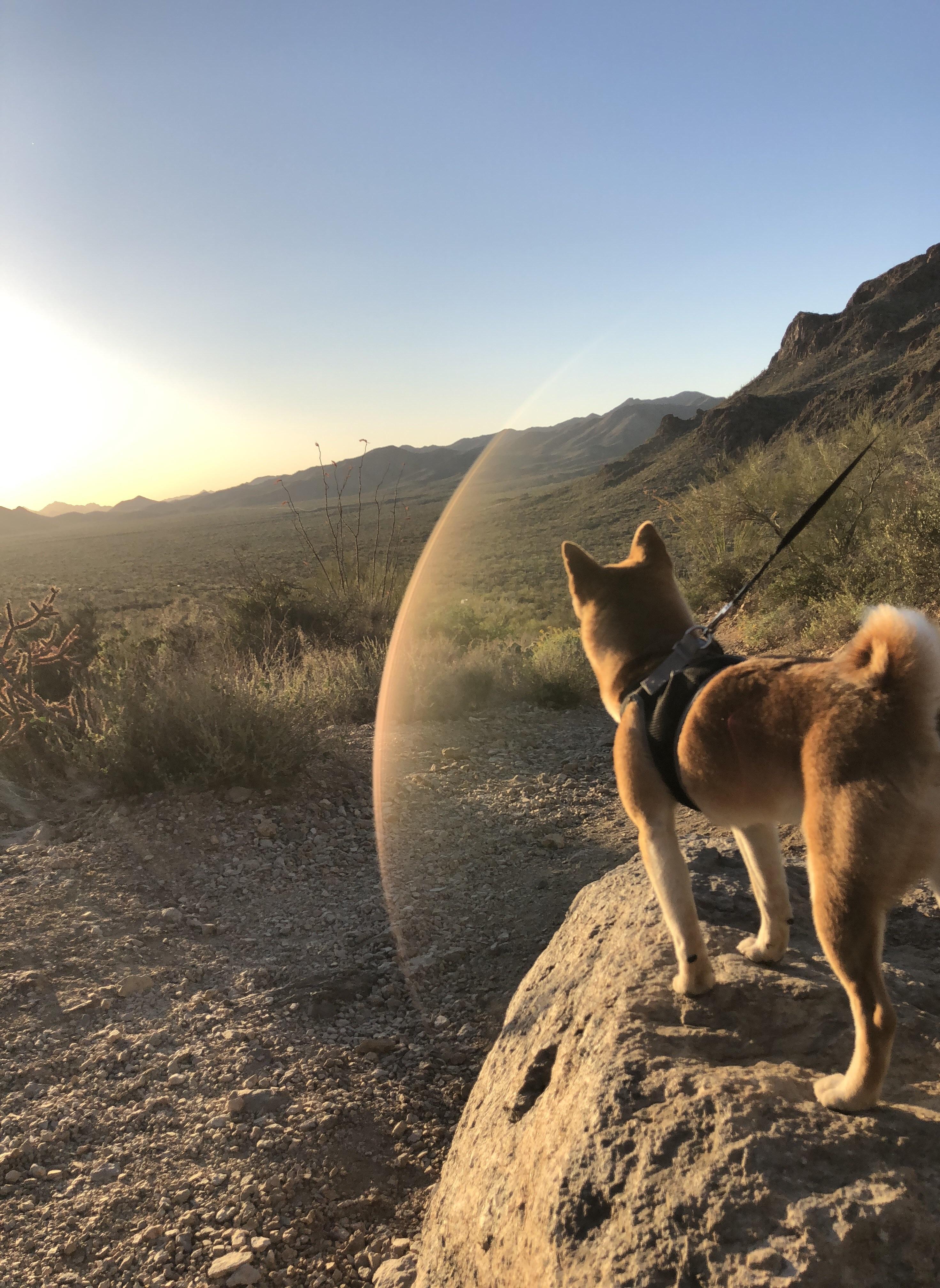 Force field activated | Scrolller