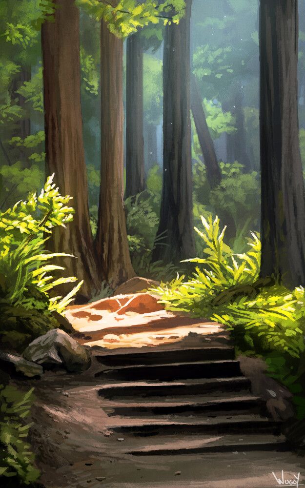 Forest Path by Ari-Matti Toivonen | Scrolller