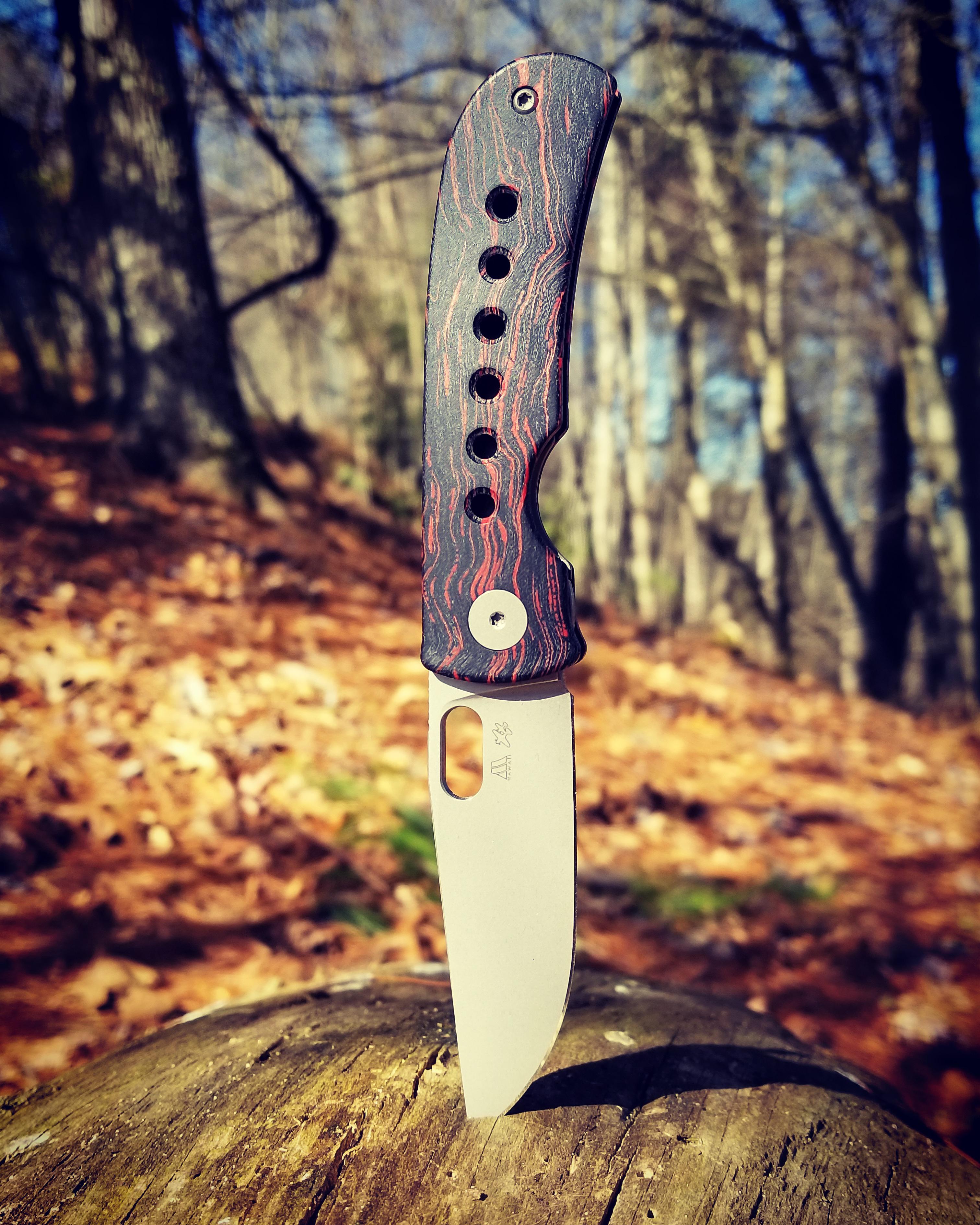 Forest Wingman Friday | Scrolller