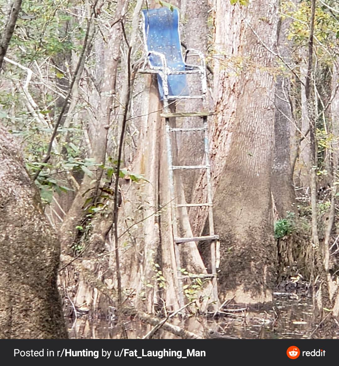 Found this one last year in the Flirida swamp. | Scrolller