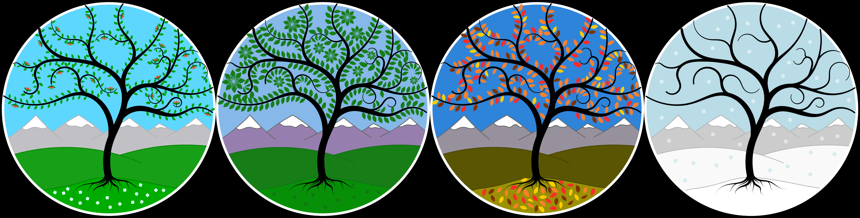 Four Seasons | Scrolller