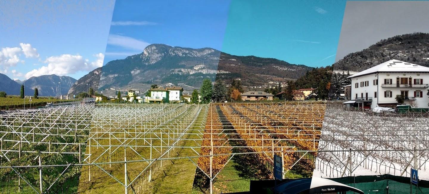 Four seasons from my window | Scrolller