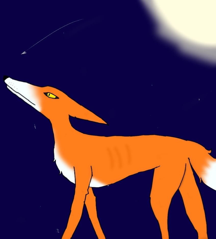 Fox boi, me, digital, 2020 | Scrolller
