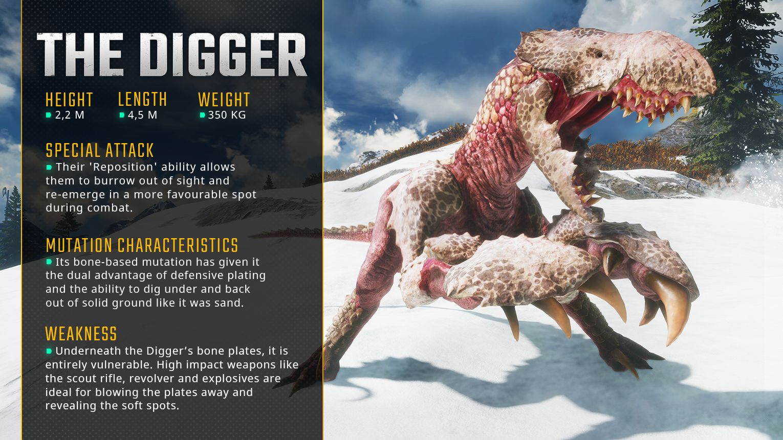 Freak of the Week - The Digger | Scrolller