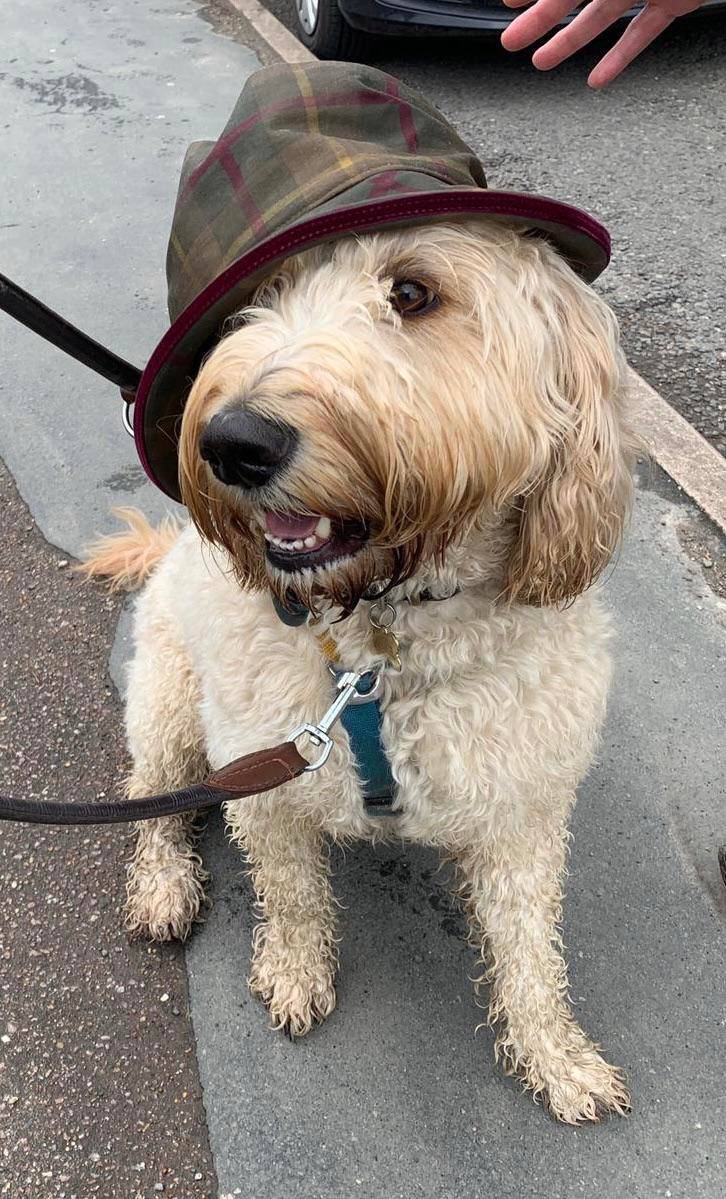 Fred’s feeling chilled | Scrolller