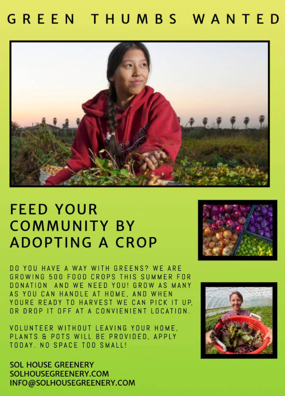 Free Vegetables! | Scrolller