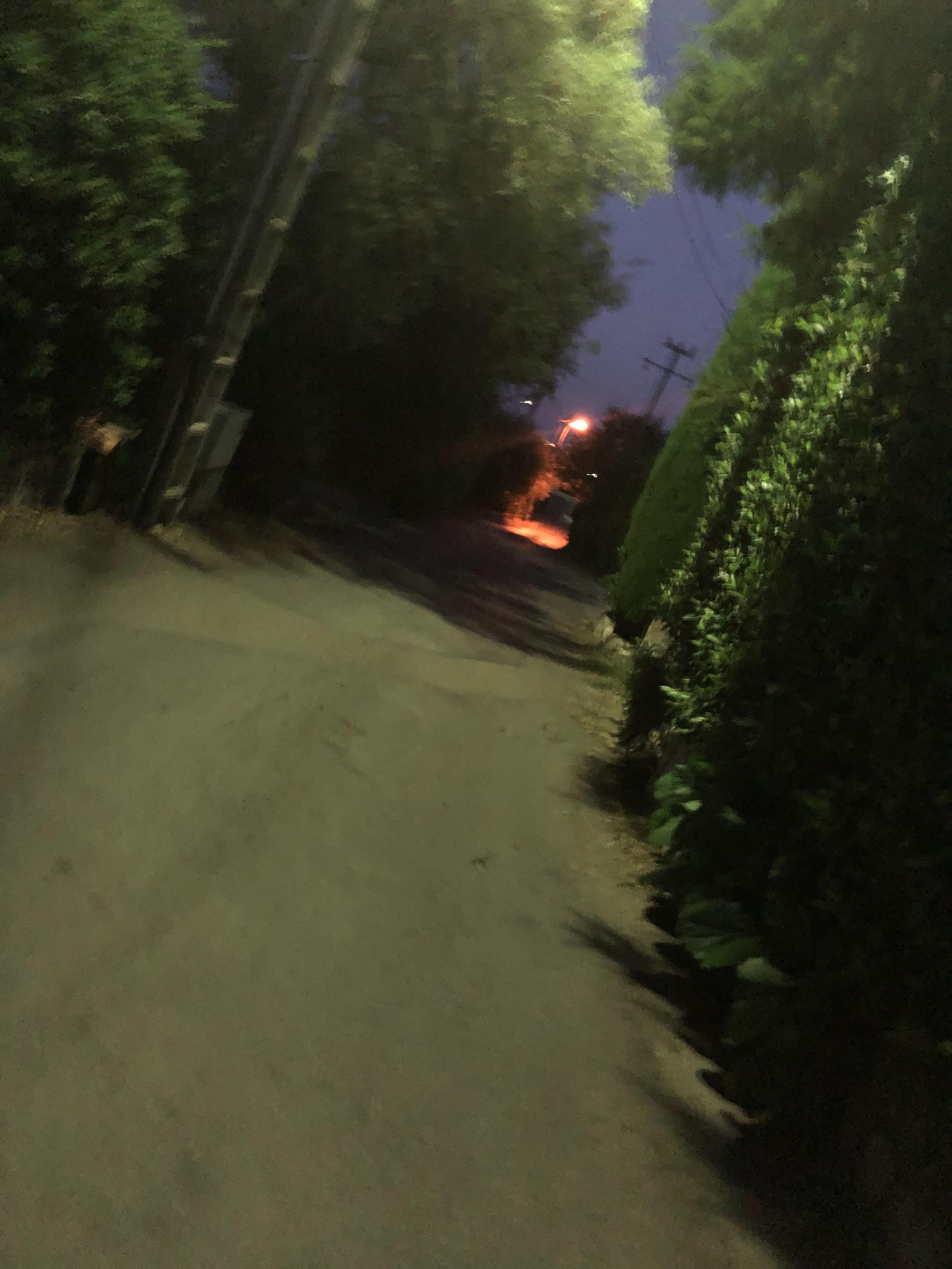 French night walks | Scrolller