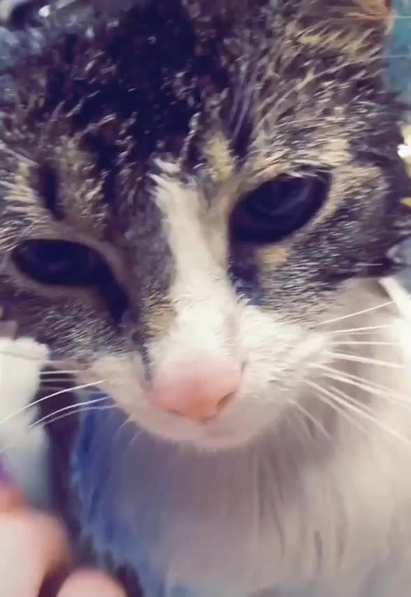 Freshly waxed to boot | Scrolller