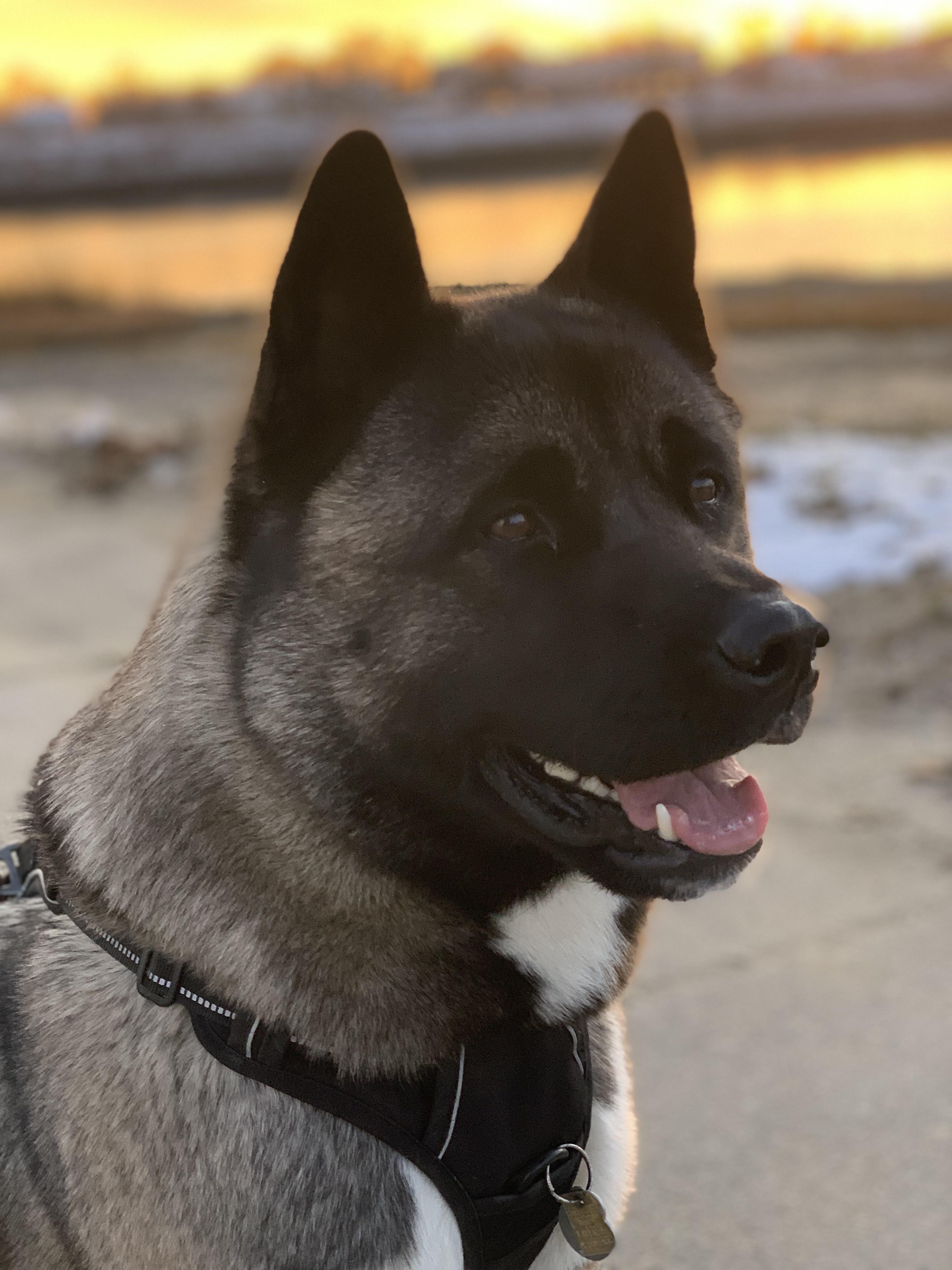 Friday means extra long adventures. | Scrolller