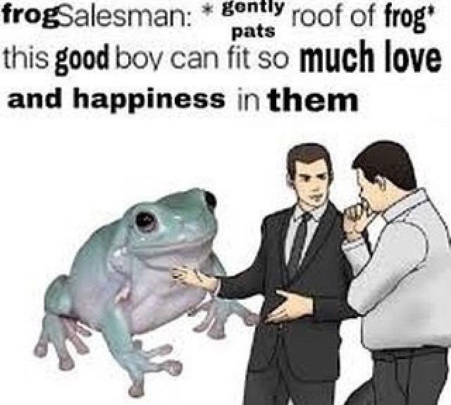 Frogs are cool | Scrolller