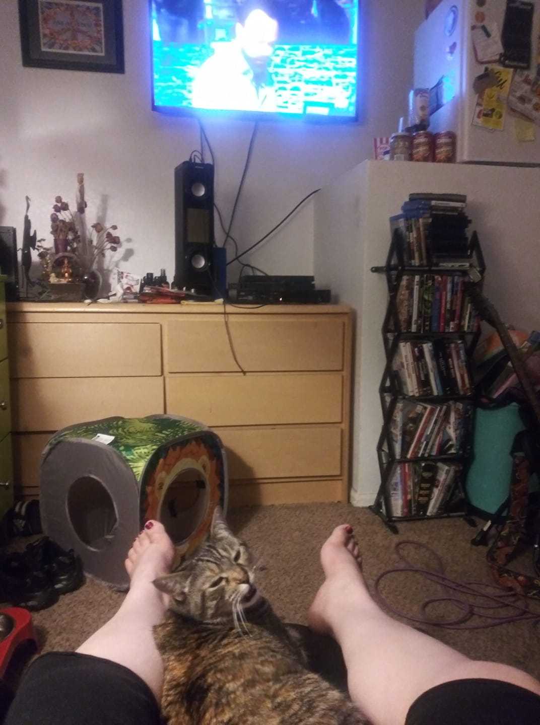 From a FB friend's feed | Scrolller