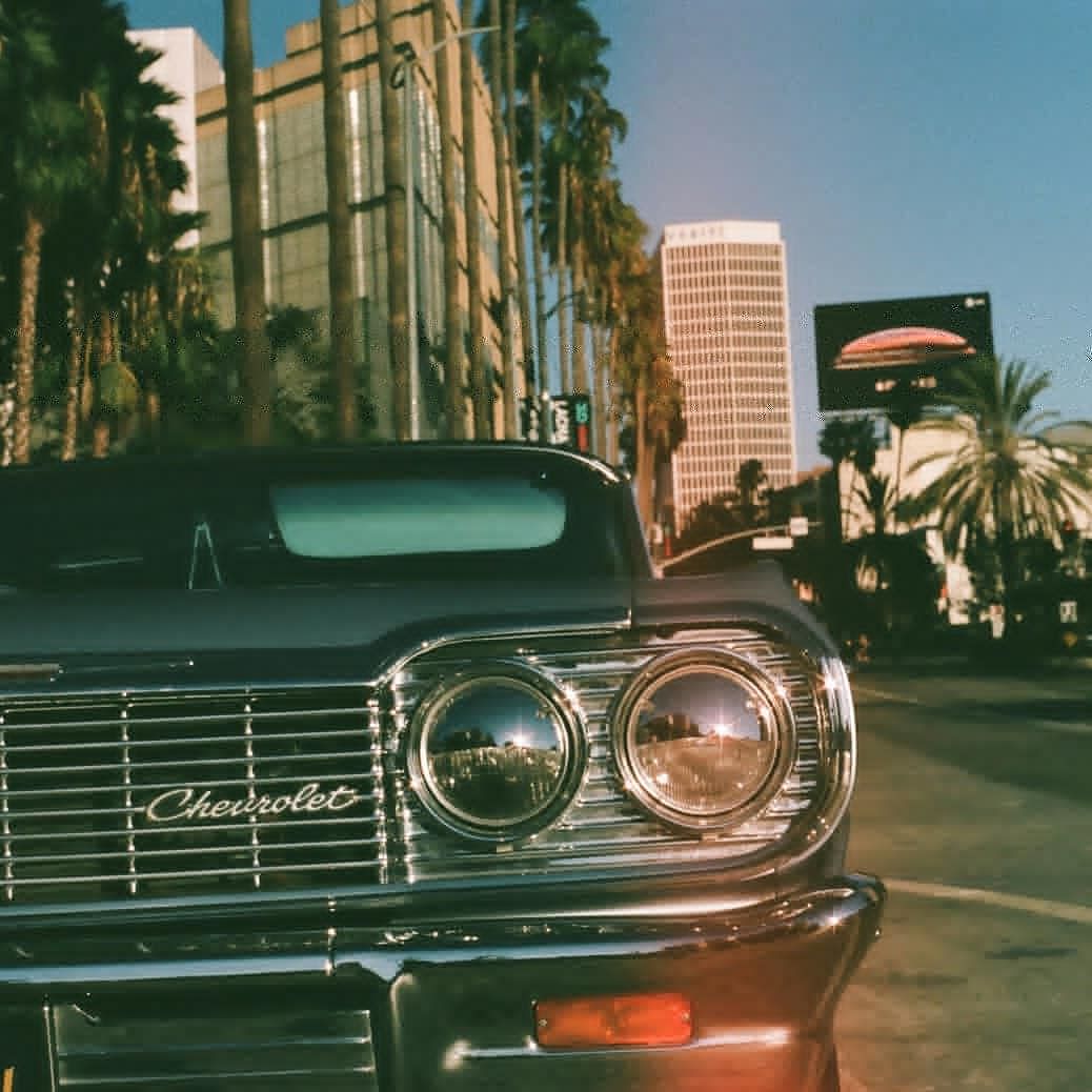 Fujifilm 400/ Yashica Tl Electro | Scrolller