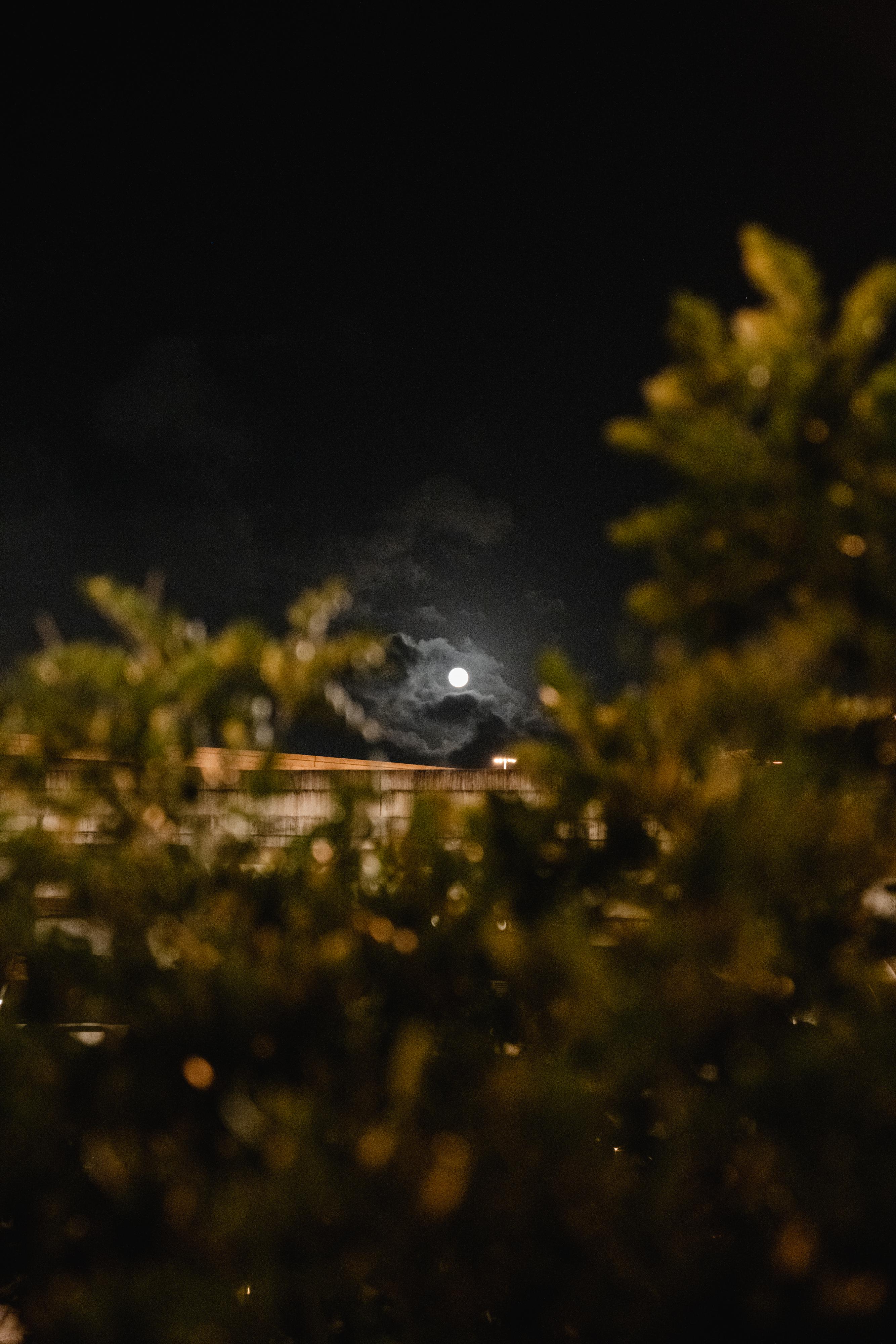 Full Moon | Scrolller