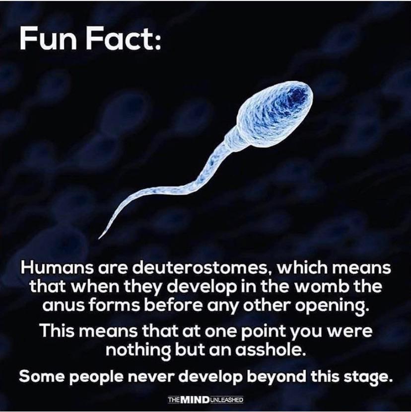 Fun fact | Scrolller