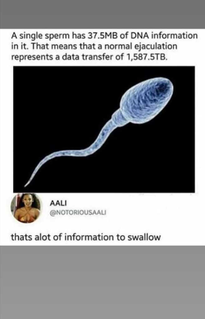 Fun fact | Scrolller