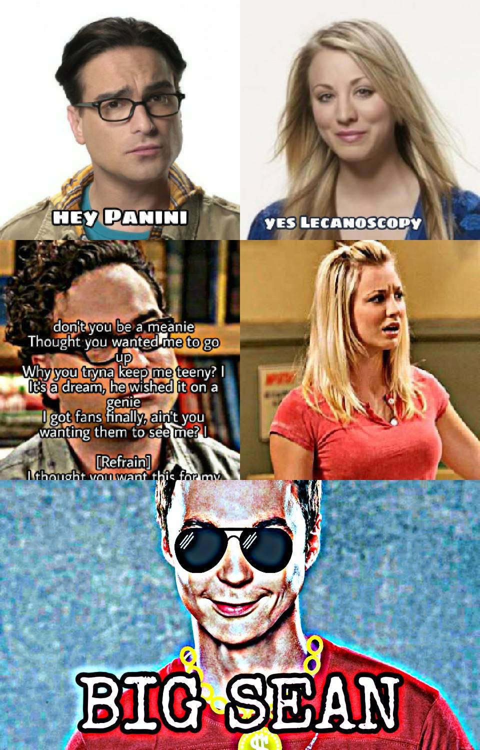 Fun Fact: In an episode Leonard actually admitted his dream was to be a raper | Scrolller