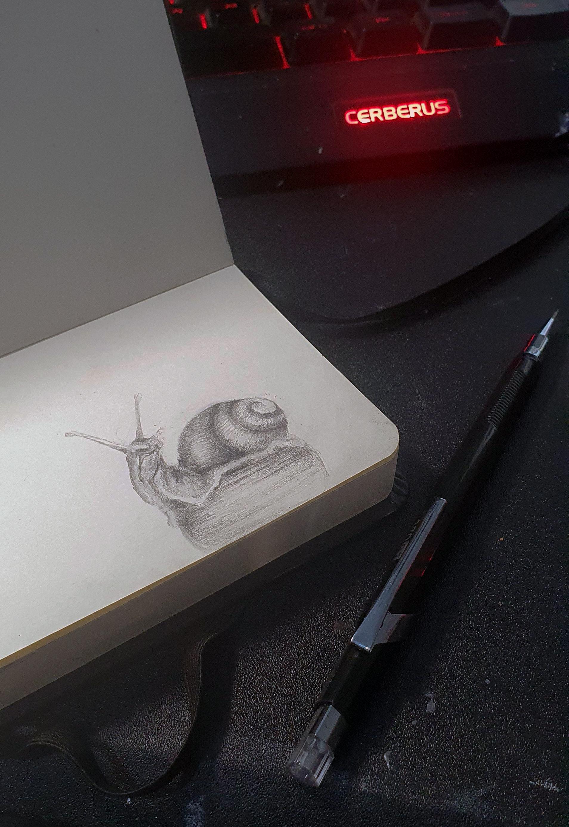 Fun morning sketch, little snail | Scrolller