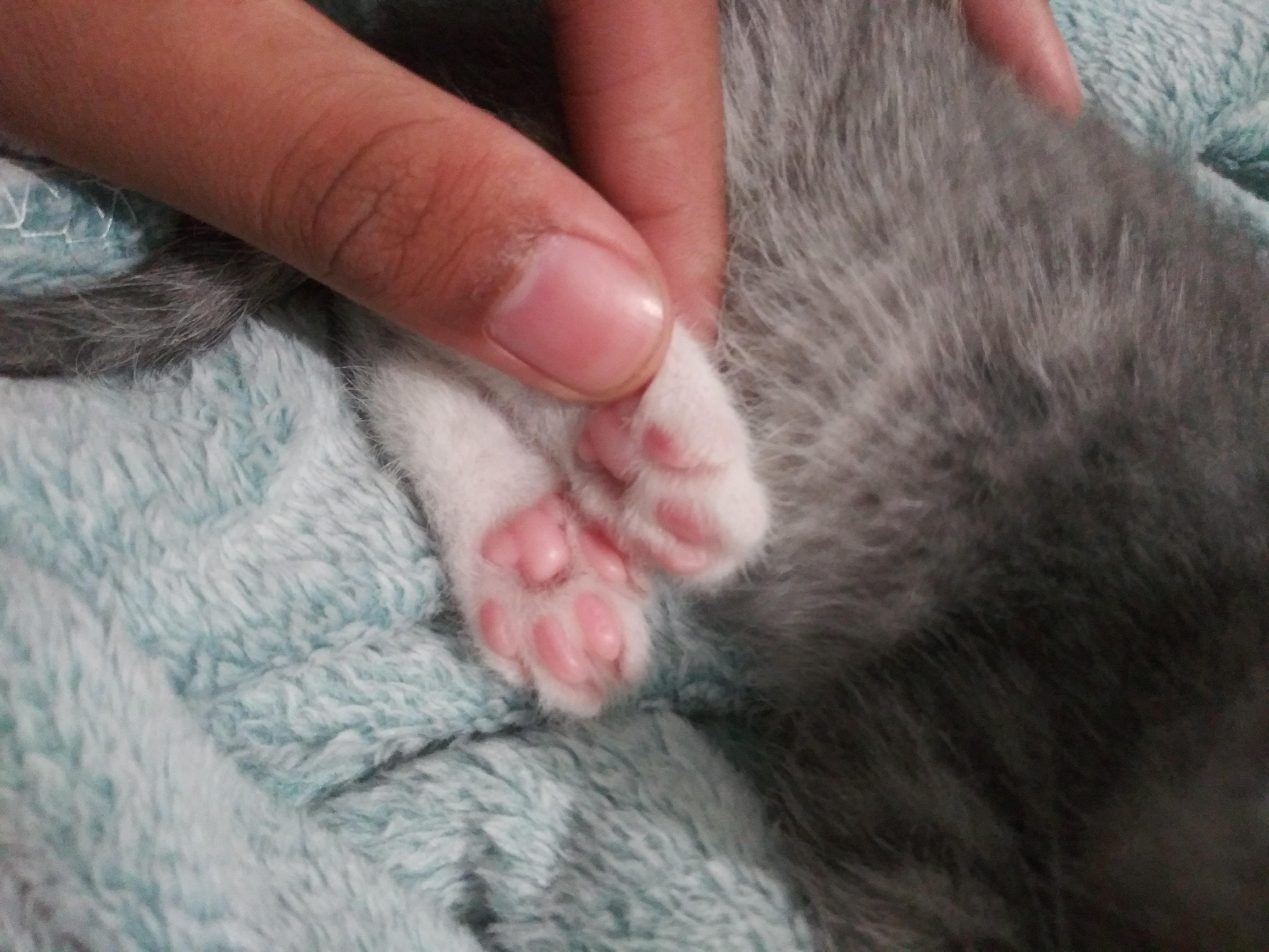 Fun-sized toe beans | Scrolller