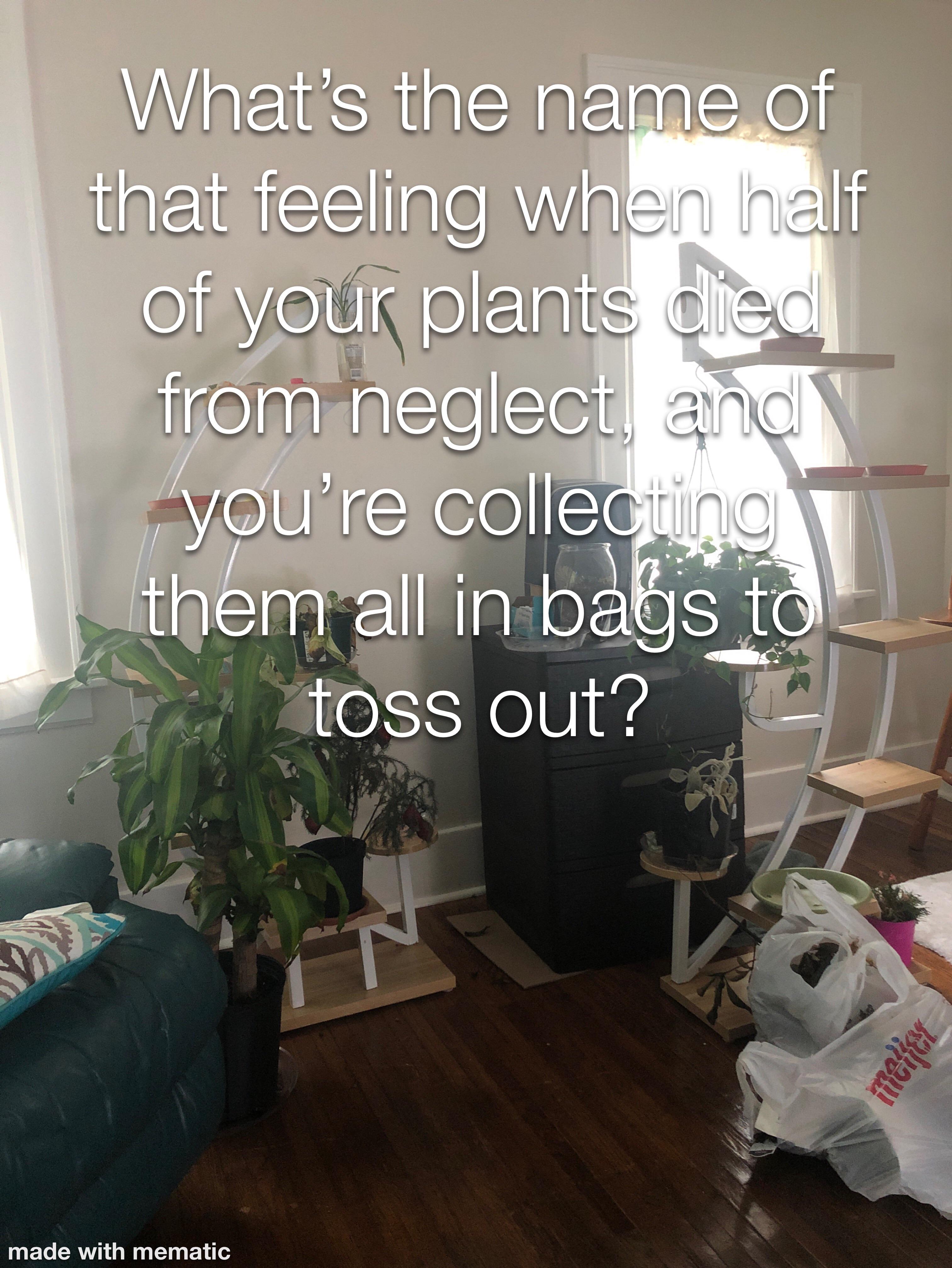 Funeral for my friends | Scrolller