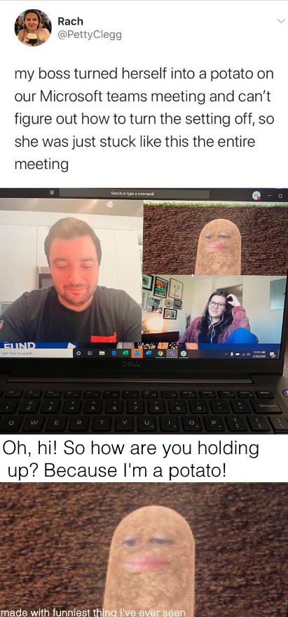 funniest shi i've ever seen | Scrolller