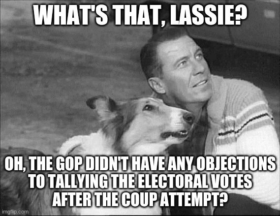 Funny how that works, huh, Lassie? | Scrolller