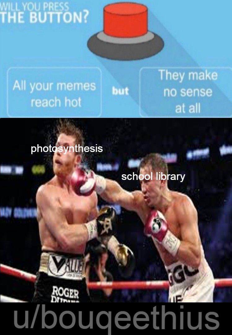 funny meme#5 | Scrolller