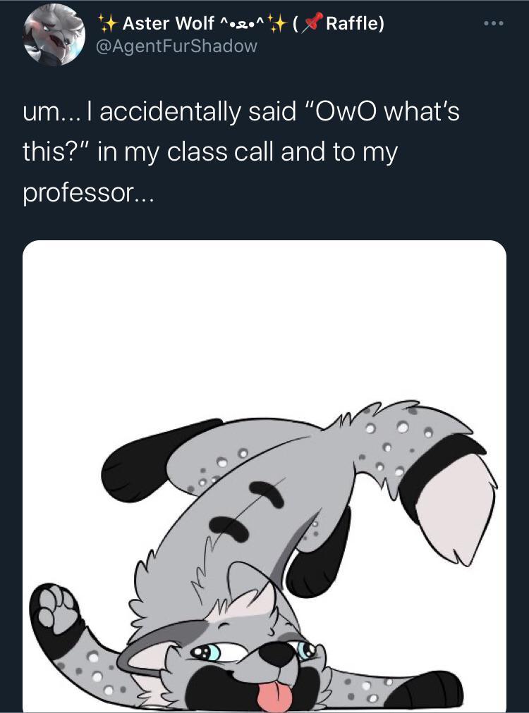 Furry_irl | Scrolller