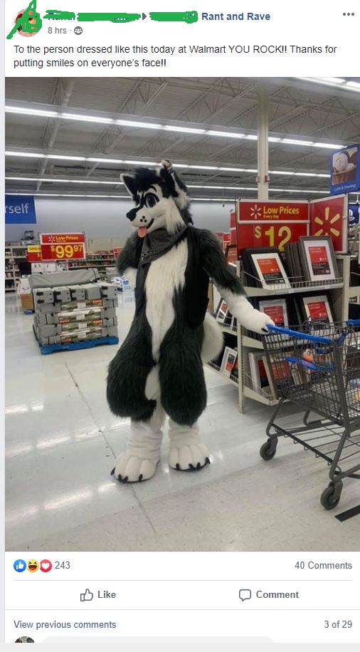 furry_irl | Scrolller