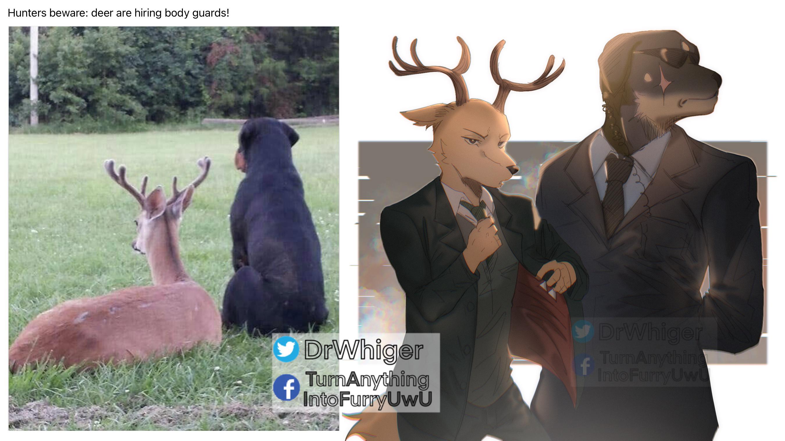 Bodyguard | Scrolller