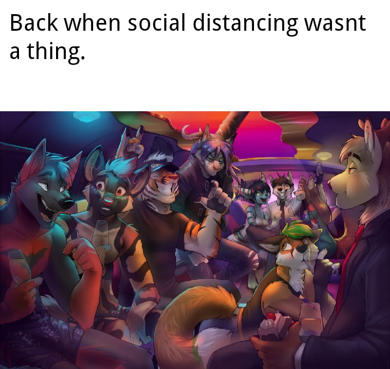 Furry_irl | Scrolller