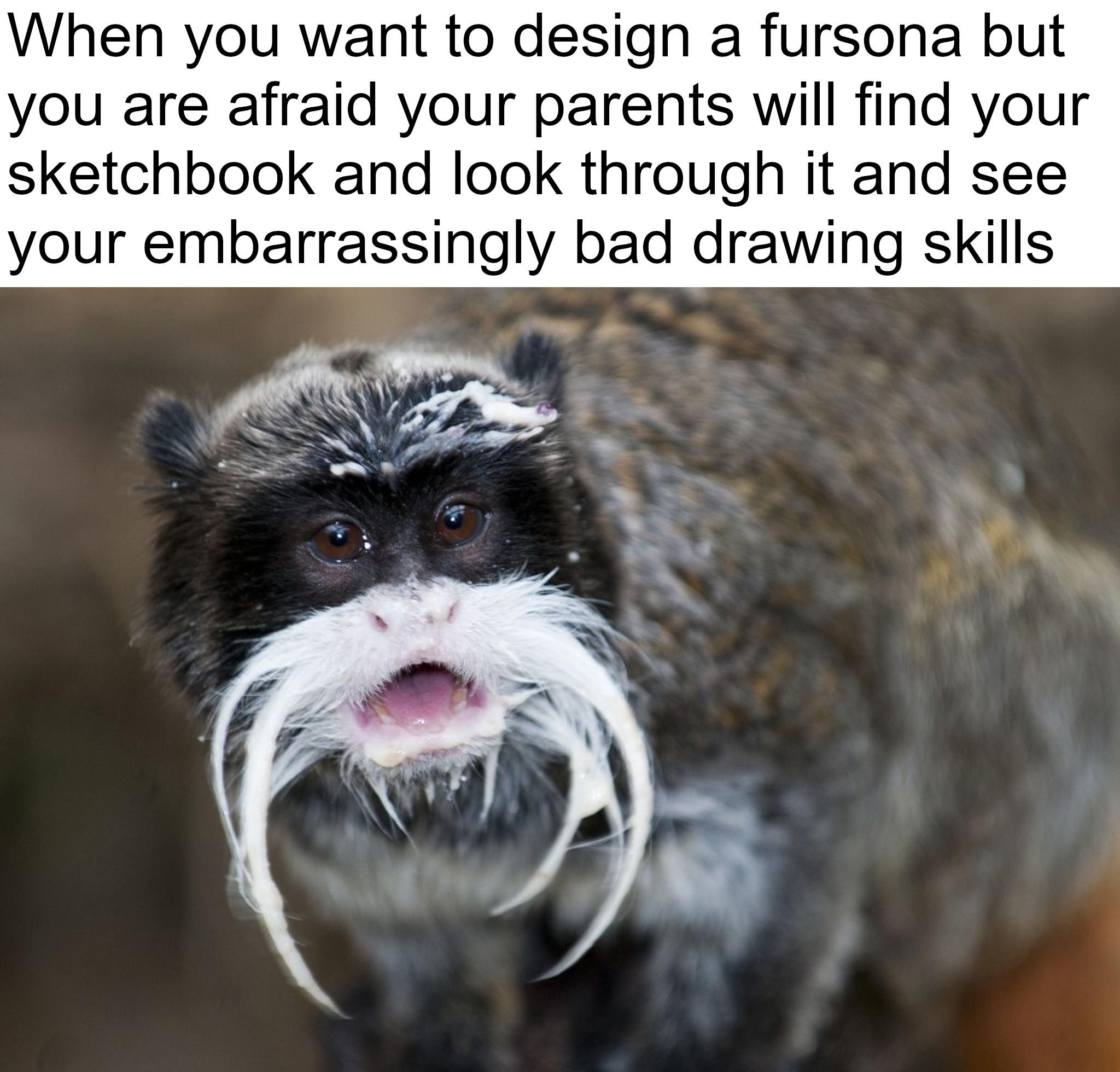 Fursona_irl | Scrolller