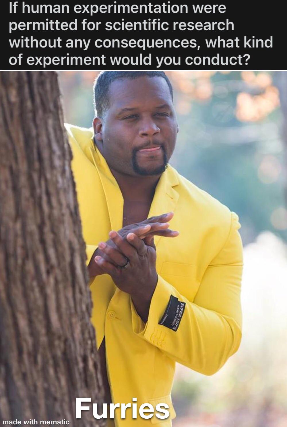 Fursona_irl | Scrolller