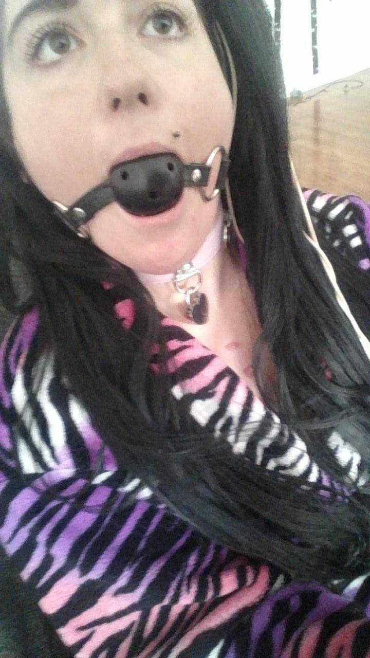 gagged and collared | Scrolller