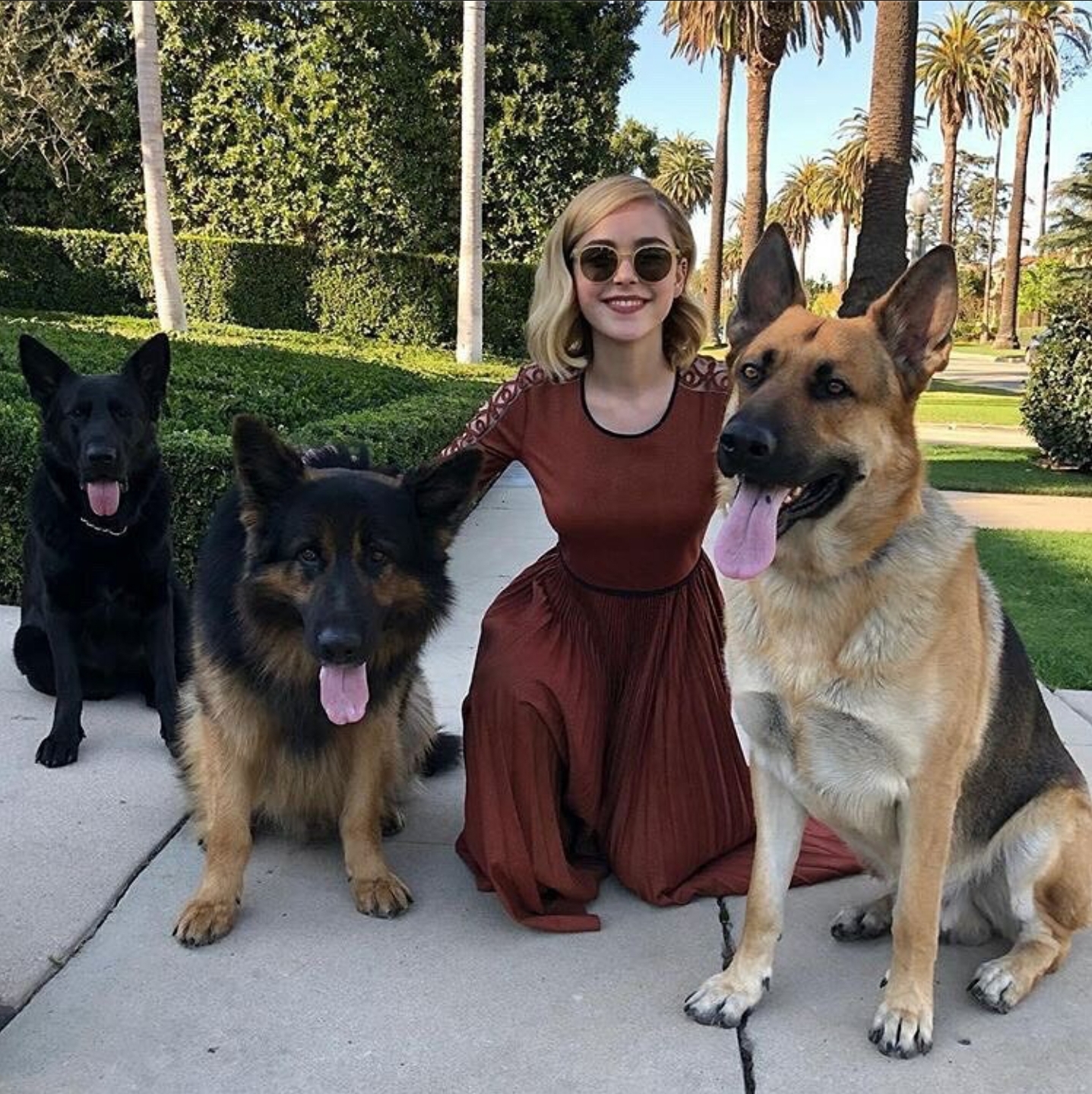 Gangs all here | Scrolller