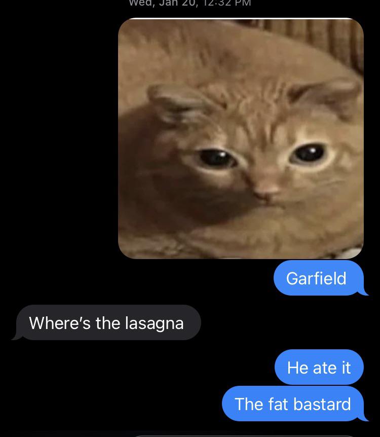 Garfield | Scrolller