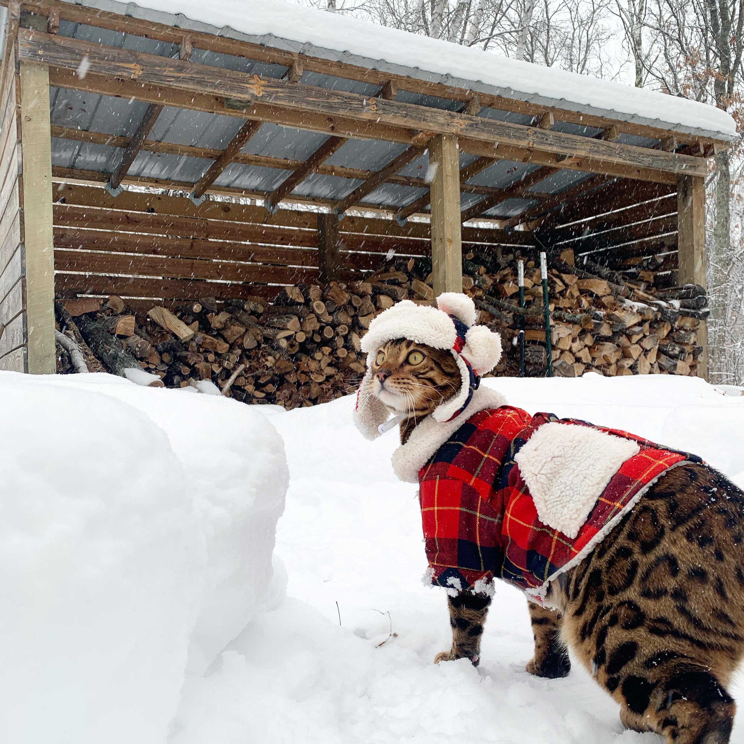 Gary the lumberjack on duty! | Scrolller