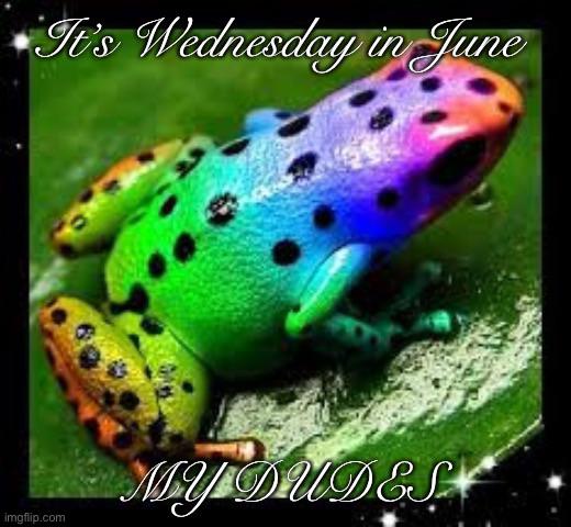 Gay frogs | Scrolller